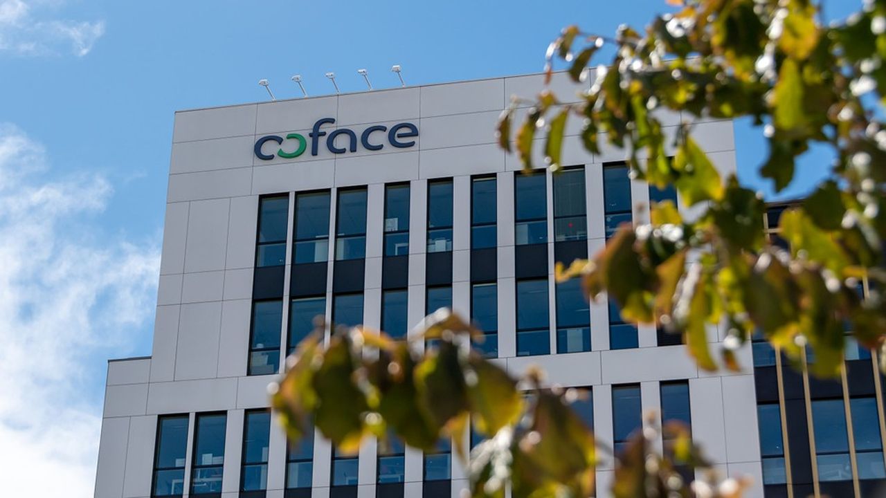 Action Coface : Avis d'Experts et Synthèses d'Actualités Boursières